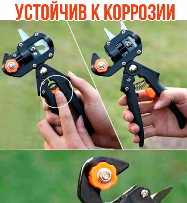 Профессиональный прививочный секатор - Купить в интернет магазине ...